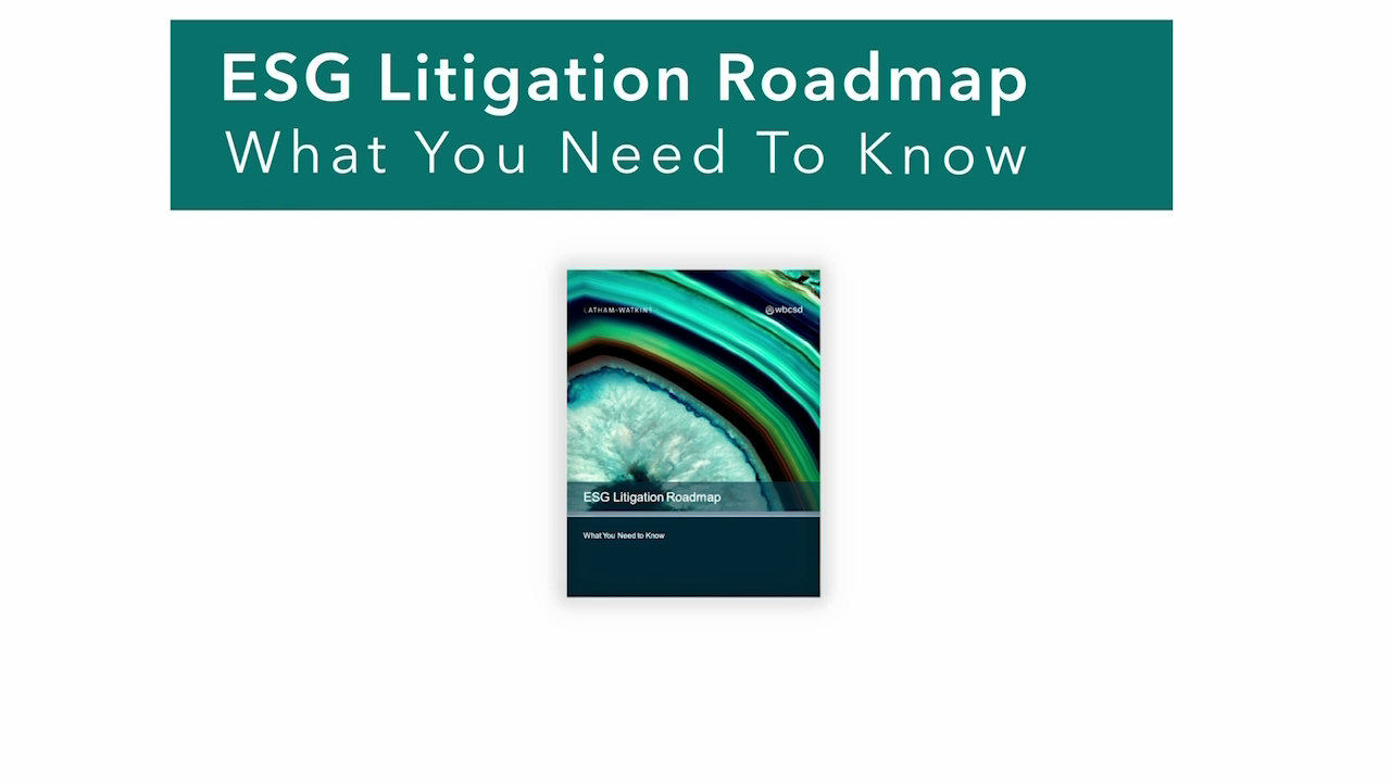 Announcing Our ESG Litigation Roadmap