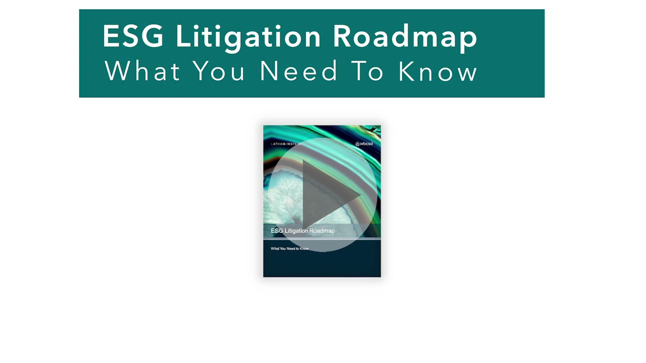 Announcing Our ESG Litigation Roadmap